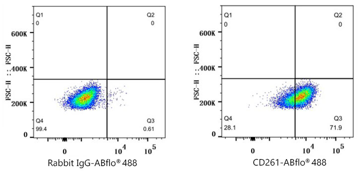 ABflo® 488 Mouse anti-Rabbit IgG (Fc) mAb-단일클론항체(mAb) - [30% 할인중 ...