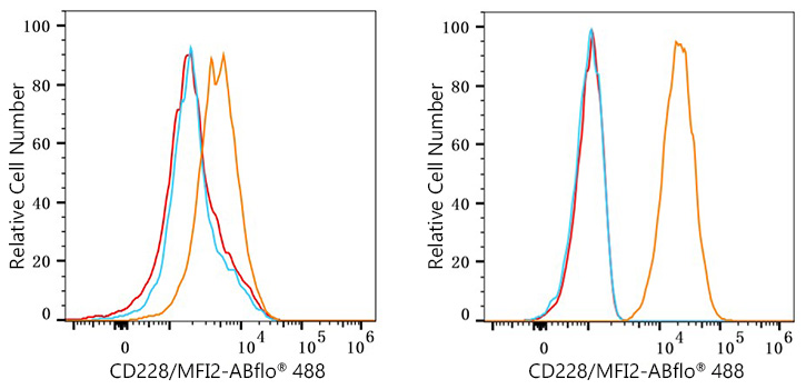 ABflo® 488 Rabbit anti-Human CD228/MFI2 mAb-단일클론항체(mAb) - ABclonal